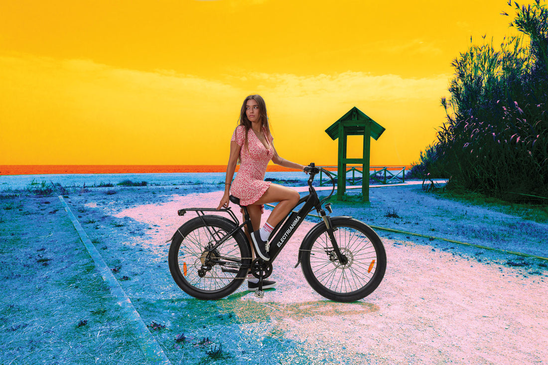 ELECTRI | we like to e-bike (biciclette a pedalata assistita)